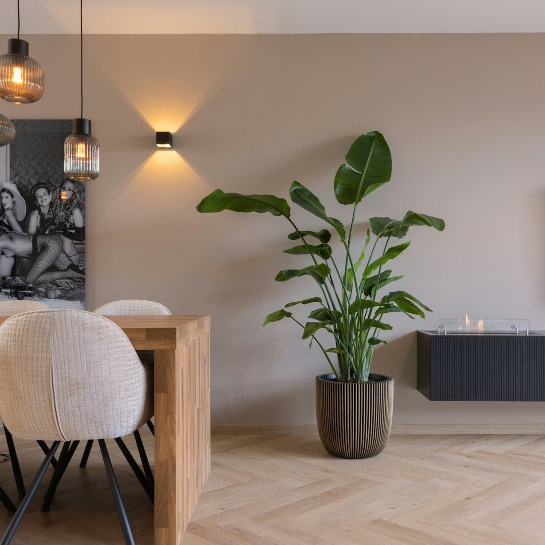 Floorify Visgraat Click PVC Unagi F317 | Solza.nl