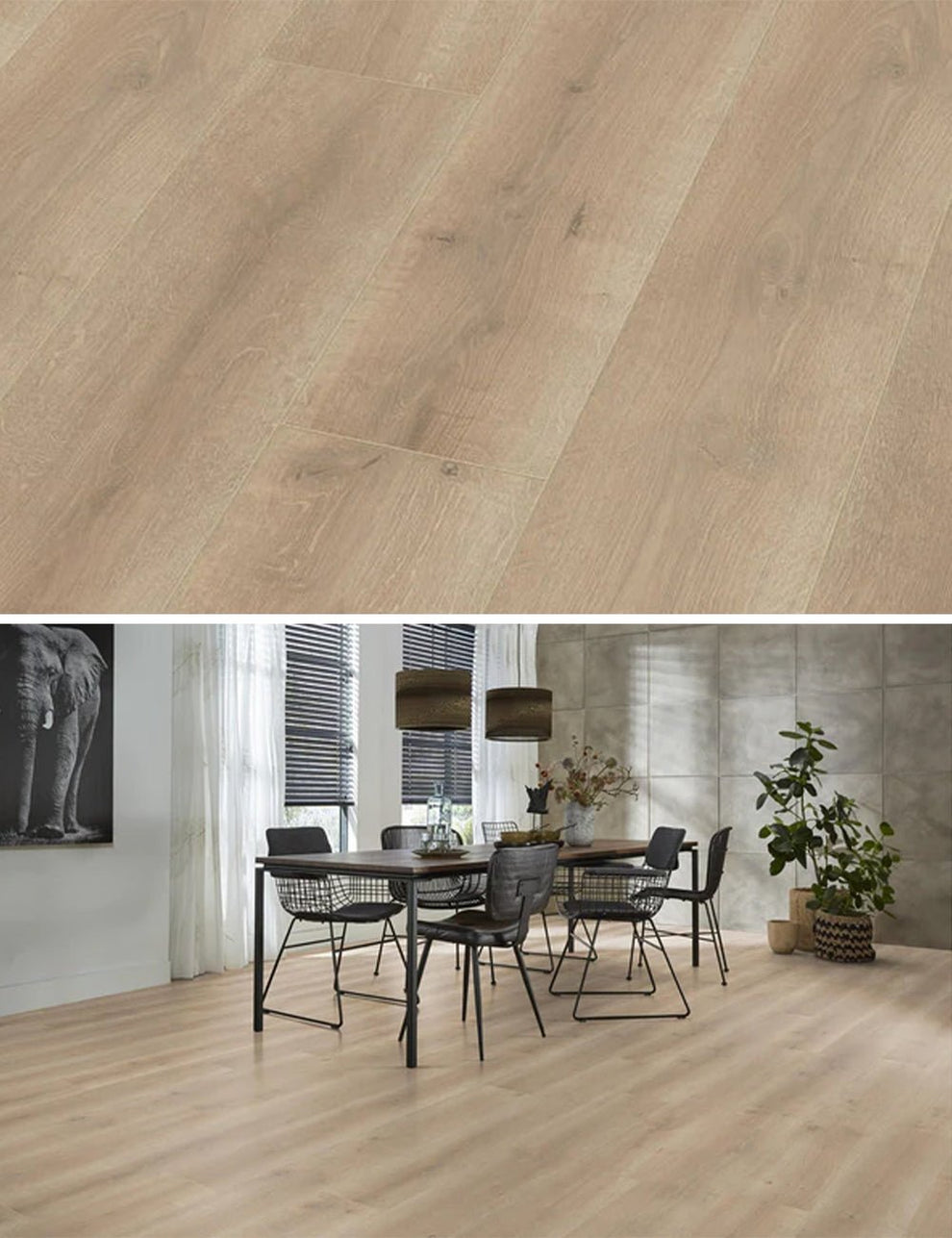 Floorlife Laminaat Houtlook Queens Naturel Eiken 6400 kopen? Natuurlijk ...