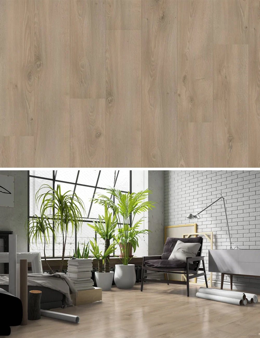 Hoomline Laminaat Royal V2 521067 CAMPANIA kopen? Snel aan huis geleverd!